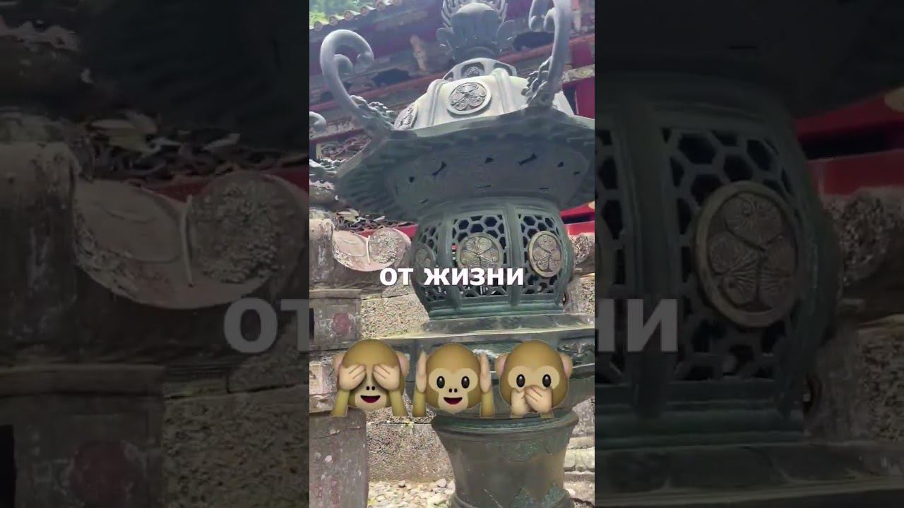 Синтоистское святилище Никко Тосё-гу #японкаюмико #япония