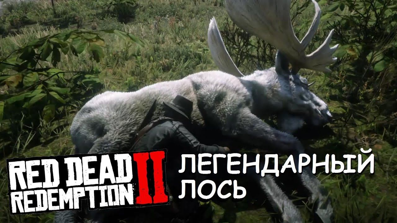 Где найти легендарного ЛОСЯ в Red Dead Redemption 2