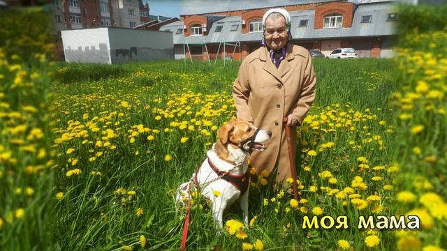 Рошка в одуванчиках 02.06.22