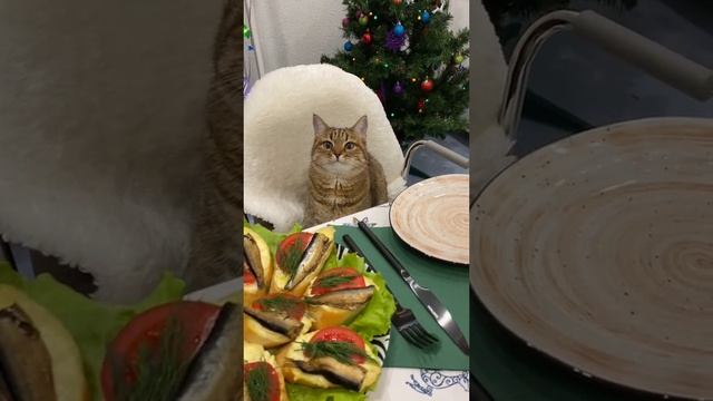 Самый главный гость