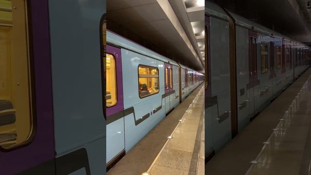 Поезд метро Ока - Баклажан #shorts