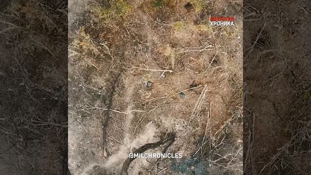 Уничтоженная техника ВСУ в районе Работино-Вербовое/Destroyed AFU armored vehicles near Rabotino