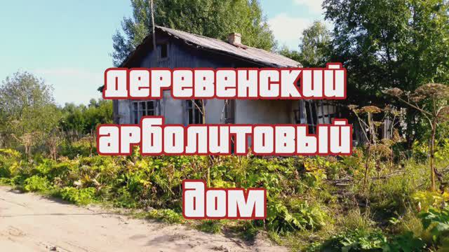 Деревенский арболитовый дом.mp4