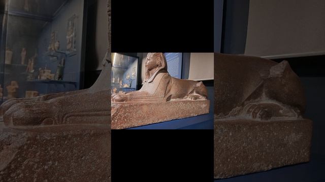 Мы съездили в музей