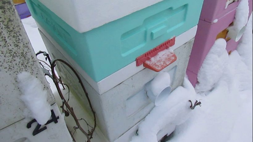 декабрь на пасеке - зимовка пчел в улье Лысонь с максимальной экономией корма и отсутствия сырости