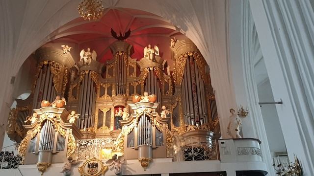 Органный  концерт в Кафедральном соборе  Остров Иммануила Канта  г.Калининград