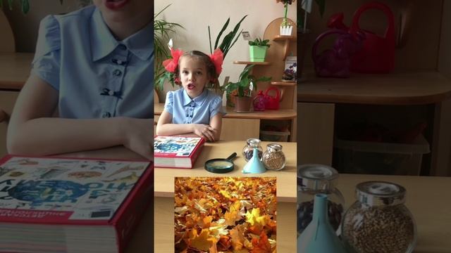 Фирсова Ульяна-МДОУ 20 Ягодка - Подольск-Бумага из осенних листьев.mp4
