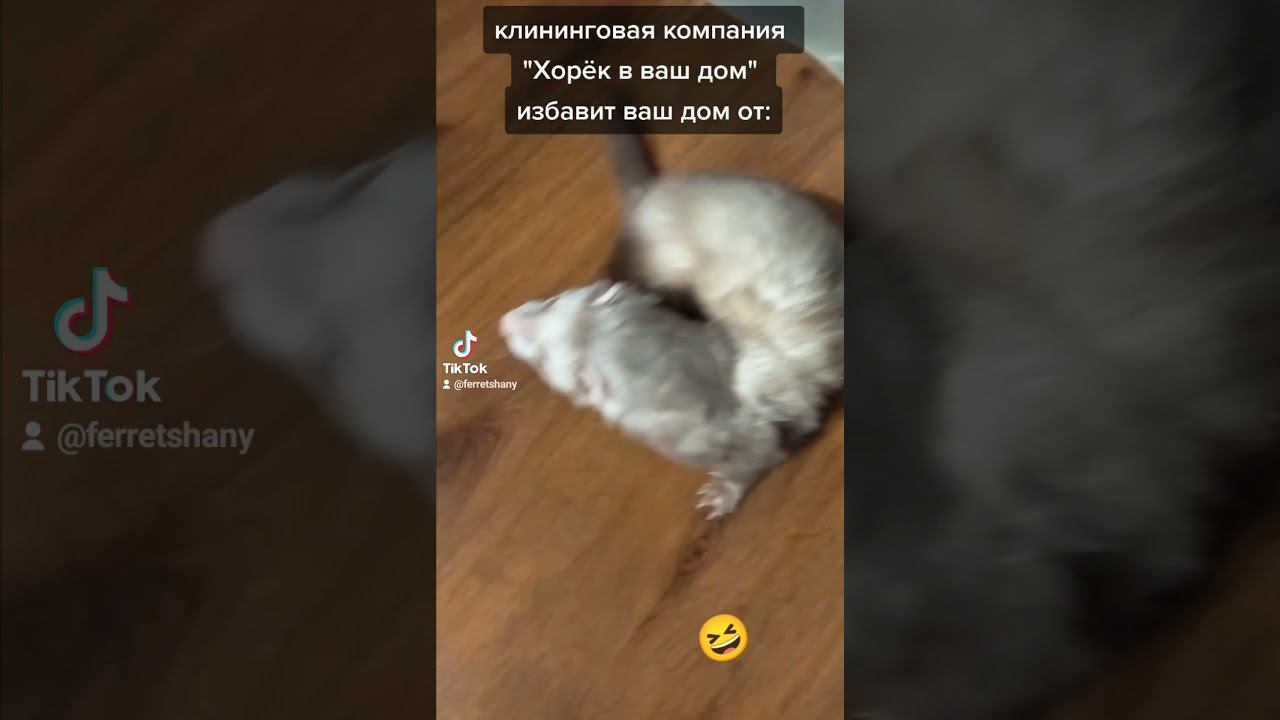 Хорька на вас нет!