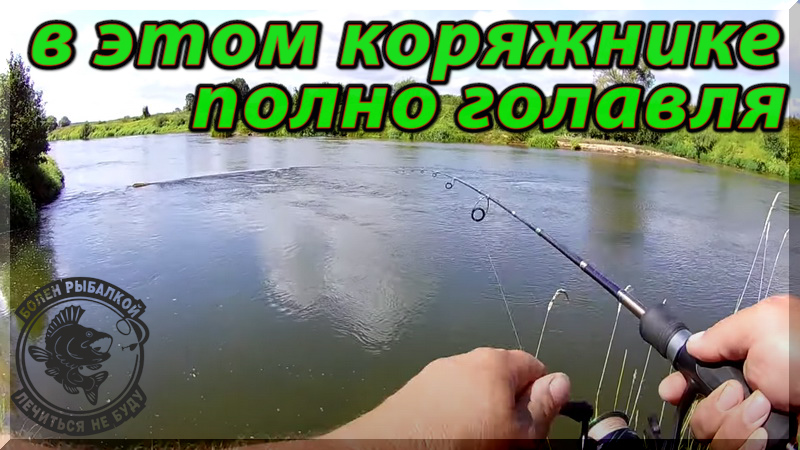 Ловля голавля, язя в коряжнике и на перекатах малой реки. Рыбалка на спиннинг.