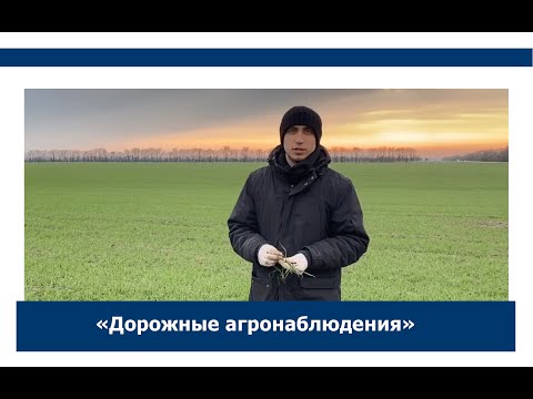 Дорожные агронаблюдения/Вуксал/УниферХ