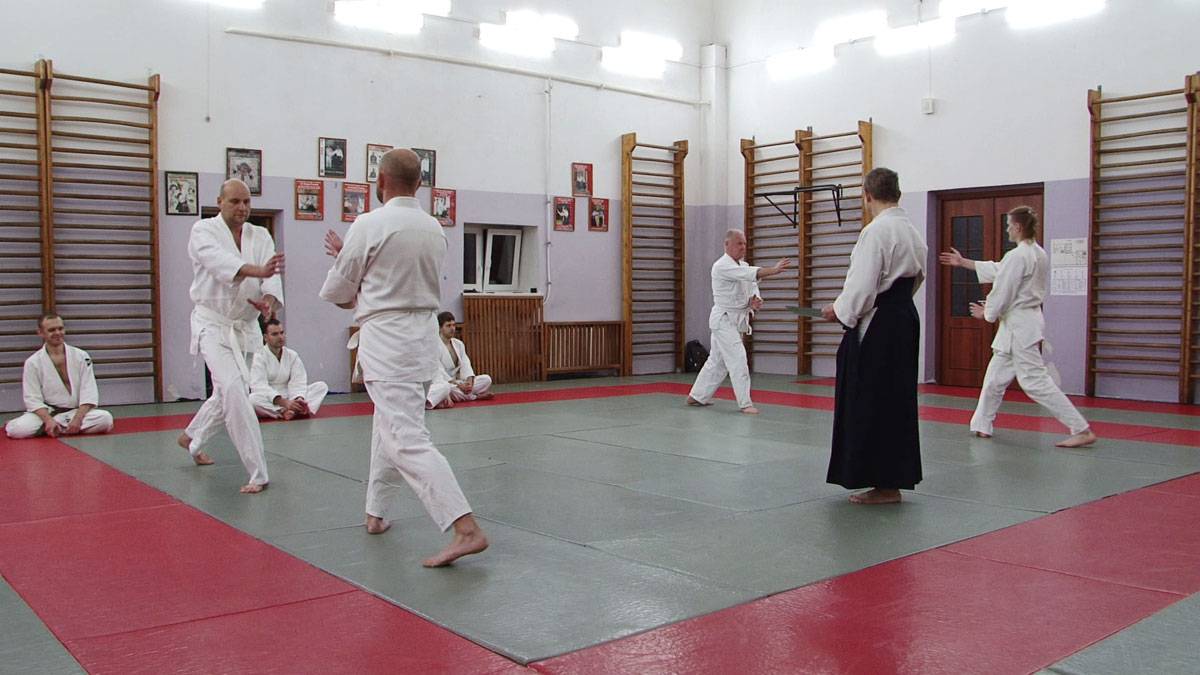 Экзамен на ученические степени 8 и 7 кю Ёсинкан Айкидо