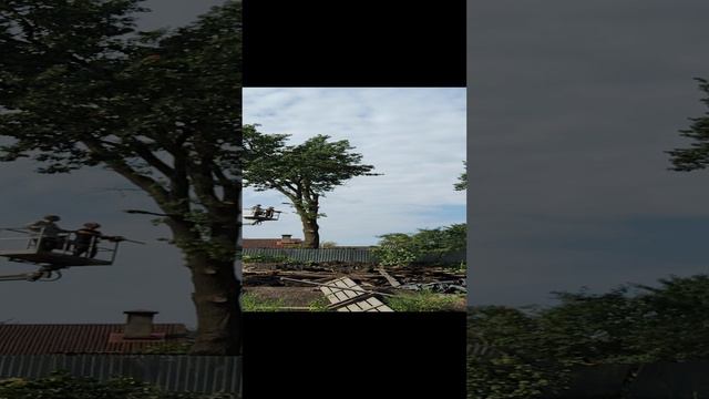 Кому они мешали?