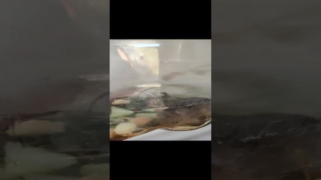 Преступление и наказание.mp4