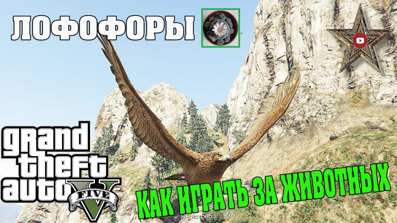 GTA 5 ЛОФОФОРЫ: КАК ИГРАТЬ ЗА ЖИВОТНЫХ