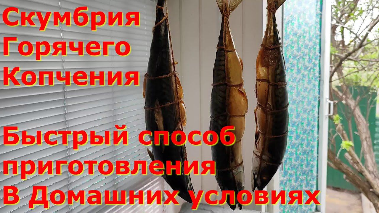 Скумбрия быстрого копчения! Самый простой и быстрый рецепт приготовления в домашних условиях!