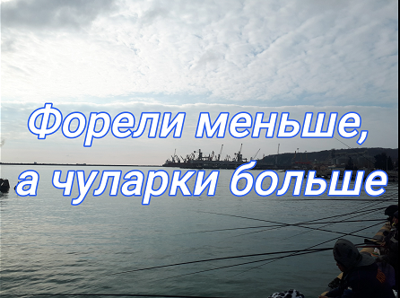 Туапсе 16.02.2022 набережная: форели всё меньше, а чуларки побольше.