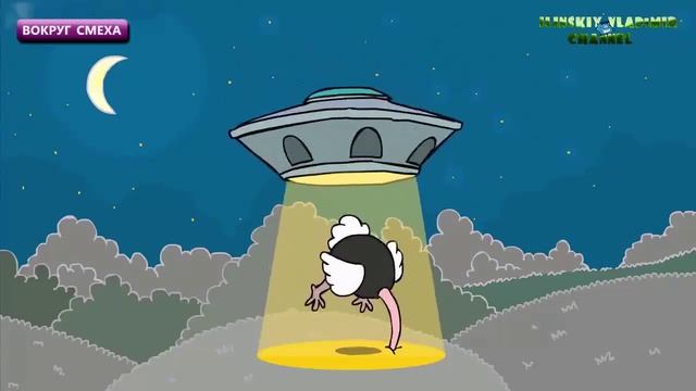 Страус и Летающая тарелка.