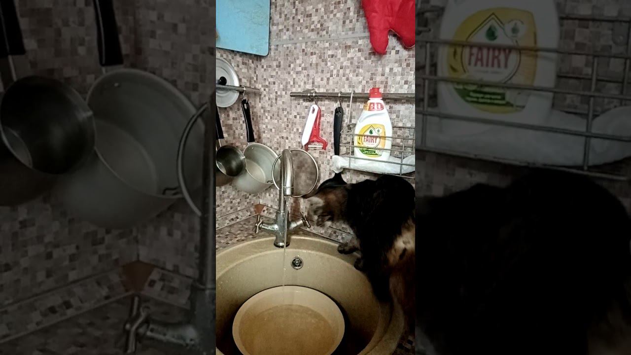 Соня и вода!