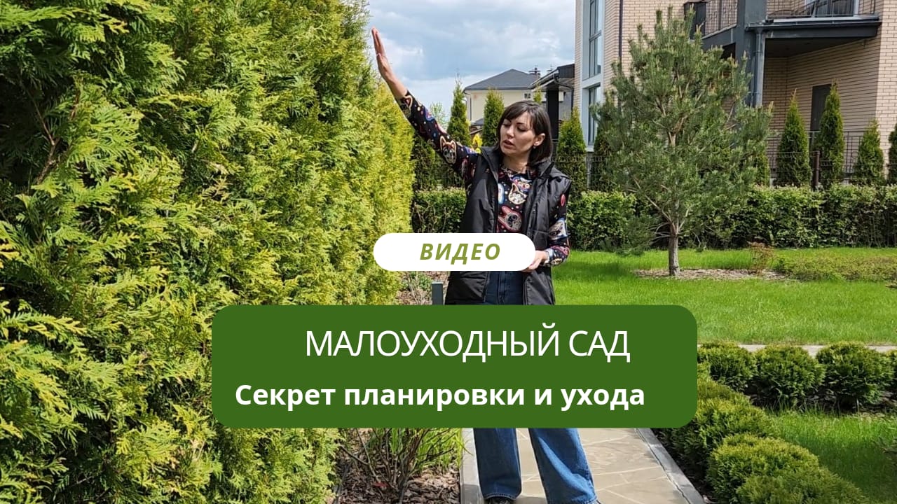 Как создать малоуходный сад?