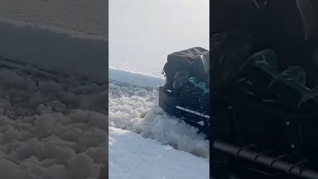 Стелс Викинг?Возвращение с Рыбалки!! #shorts.mp4