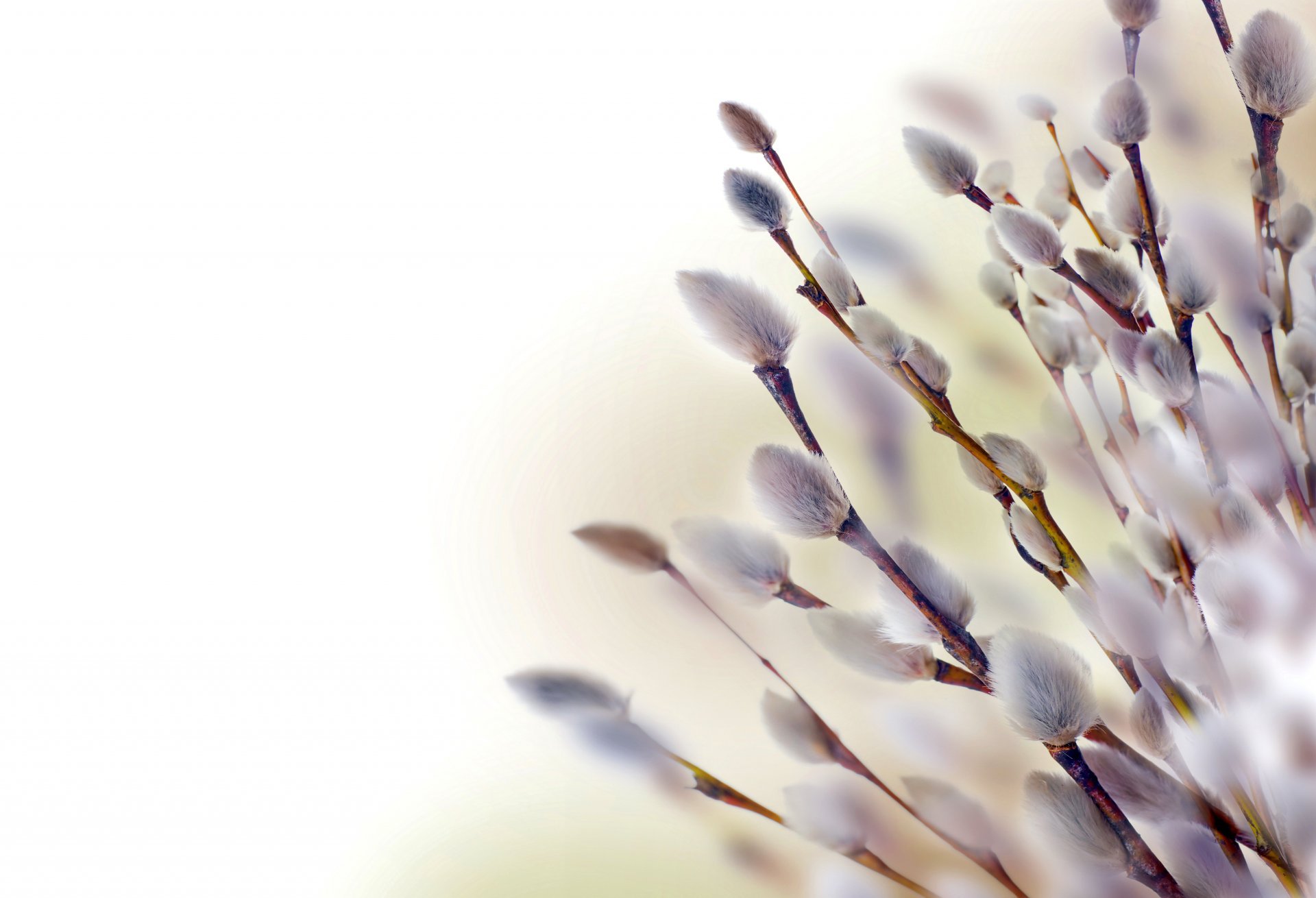 Весеннее Настроение.Музыкальный Привет?