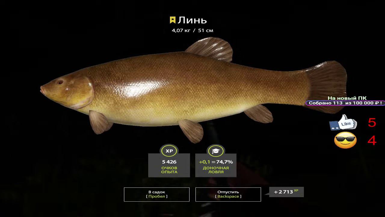 Закрыл Трофейного ЛИНЯ на Старом Остроге#РР4 #ТрофеиныйЛинь