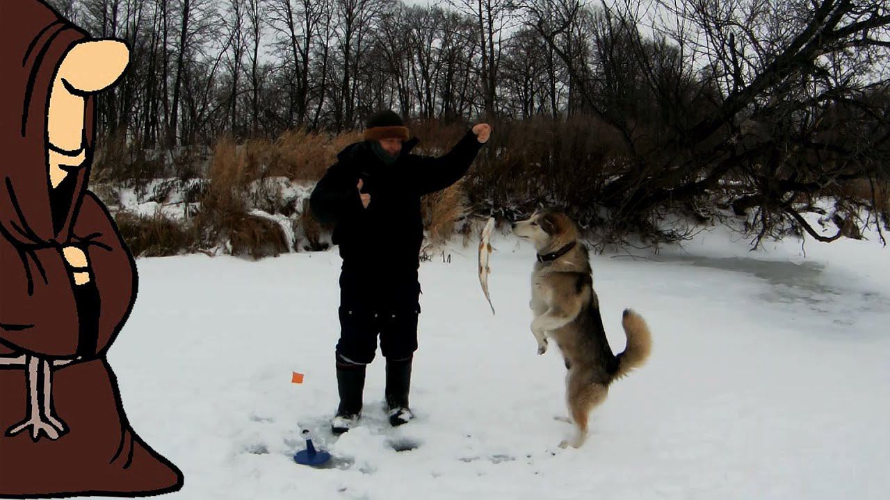 Веселая, первая зимняя рыбалка на жерлицы Нашлась пропажа. Джесси как обычно чудит