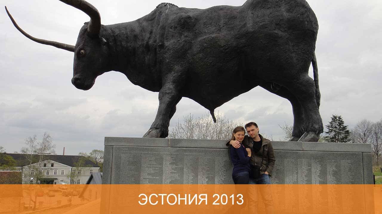 Эстония 2013