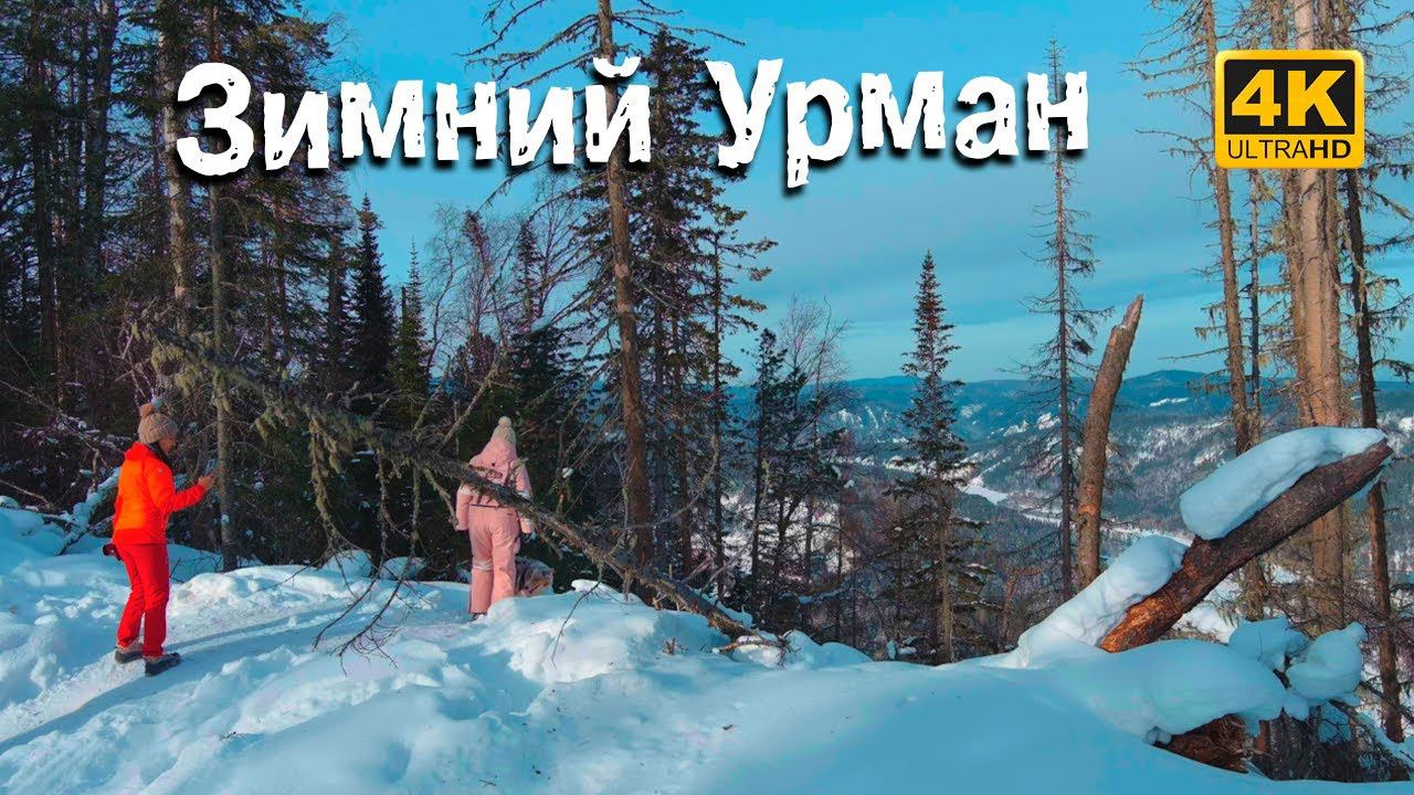 Зимний Урман | Урманская петля | Дронозарисовка | 4k video