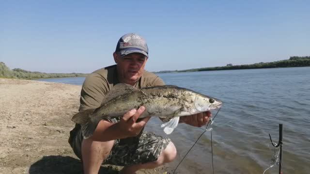 РЕЗИНКА ЛОВИТ ЛЮБУЮ РЫБУ В САМЫЙ НЕ КЛЕВЫЙ ДЕНЬ! ОБЪ АВГУСТ 2023г.