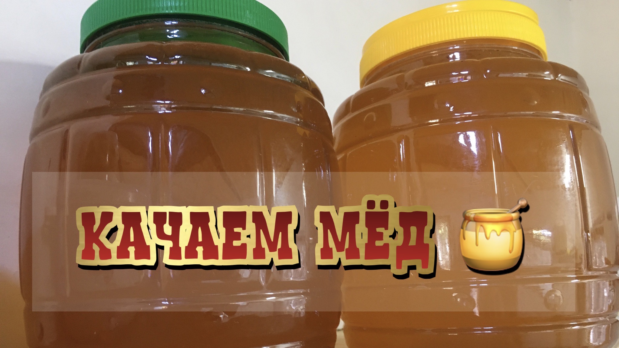 Качаем мед/Сладкое утро/Медовые соты/из архива 2021/