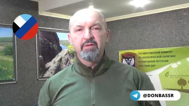 Восстанавливать поврежденные леса Донбасса будут с учетом опыта российских экологов