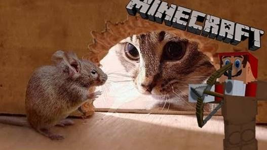 Крысы В Законе :DD  Крысиная жизнь в minecraft №2