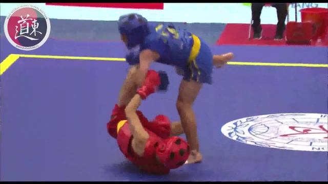 Фрагменты боев ушу-саньда с 15 Чемпионата Мира по ушу. Часть 12. Второй день соревнований