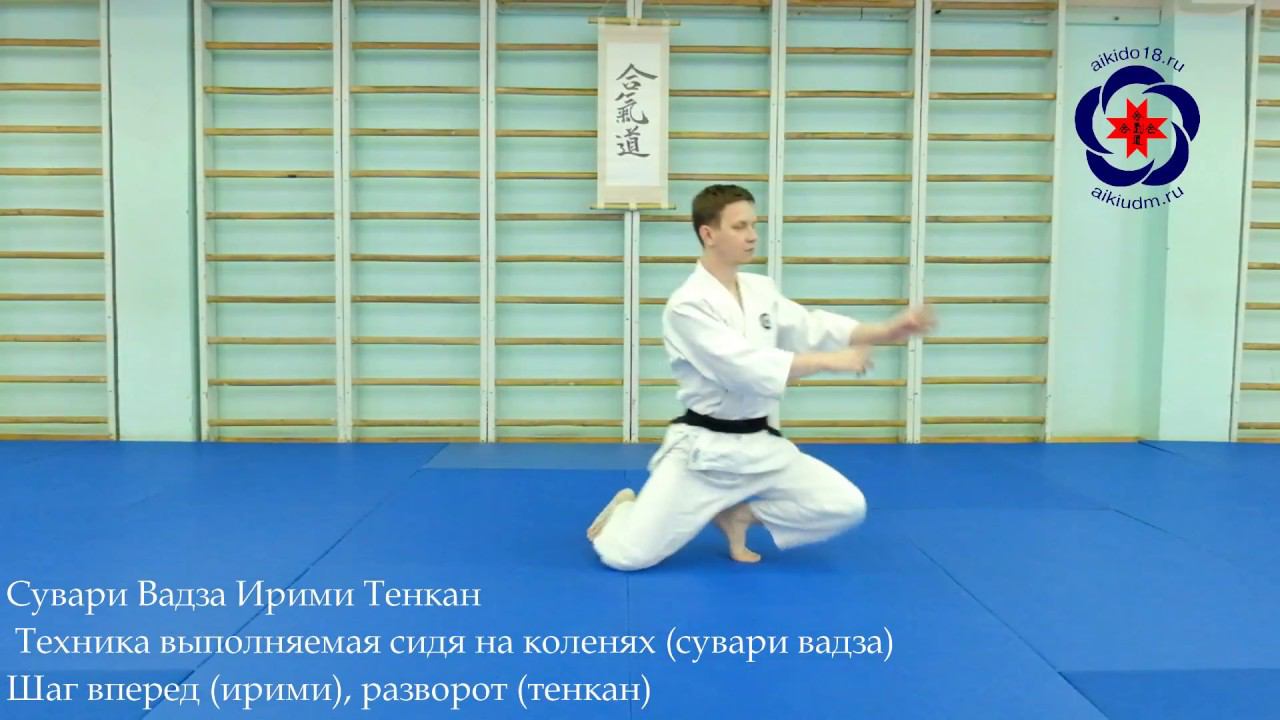 Ирими Тенкан (сувари вадза) / Передвижения айкидо