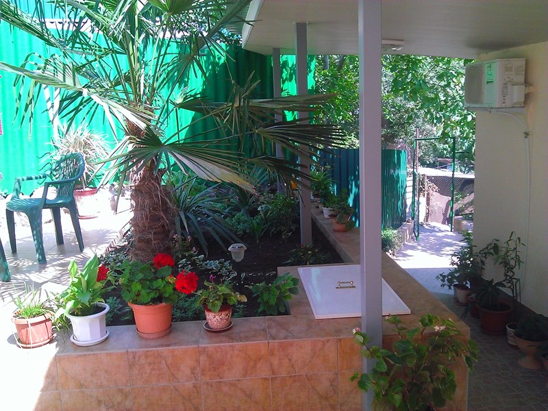 Отдых в частном секторе в Крыму в Алупке. Недорогое жилье в Алупке. «ЛЮДМИЛА» ГОСТЕВОЙ ДОМ в Алупке