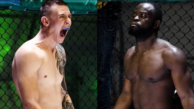 ММА Серия-17: Blacksmith | Андрей Лебедев (Россия) - Бертран Камге (Камерун)