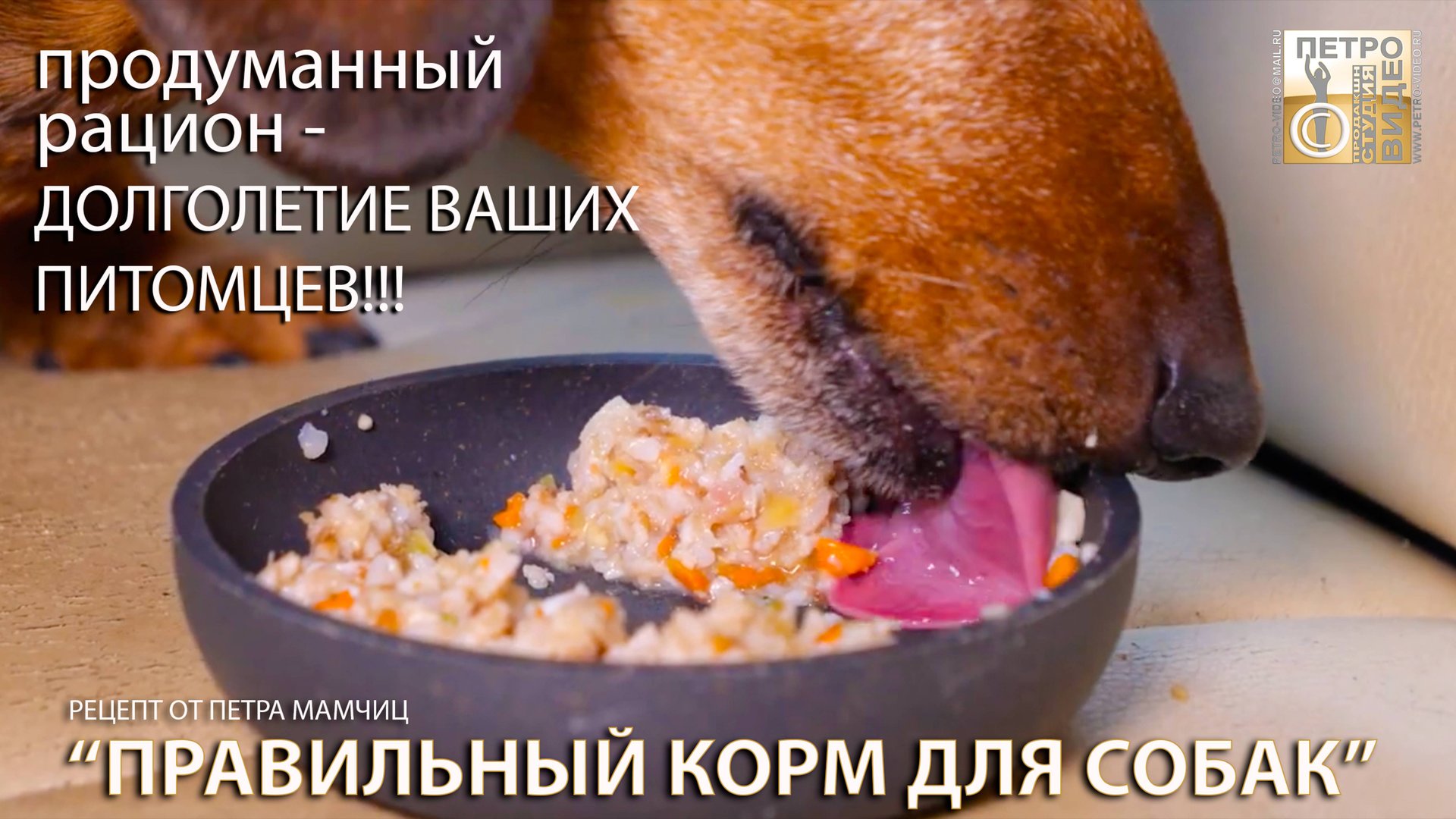 РЕЦЕПТЫ от ПЕТРА МАМЧИЦ