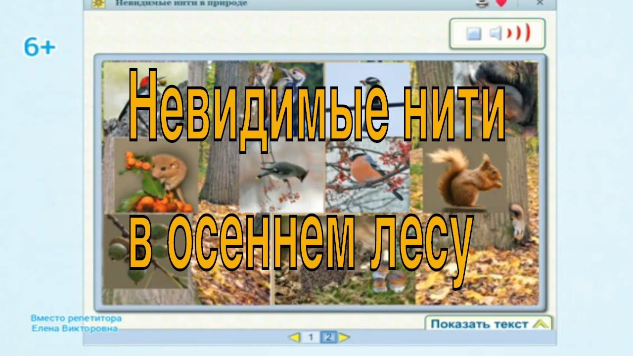 Невидимые нити в осеннем лесу