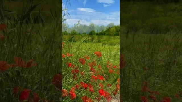 Мудрые мысли великих. Жизнь.