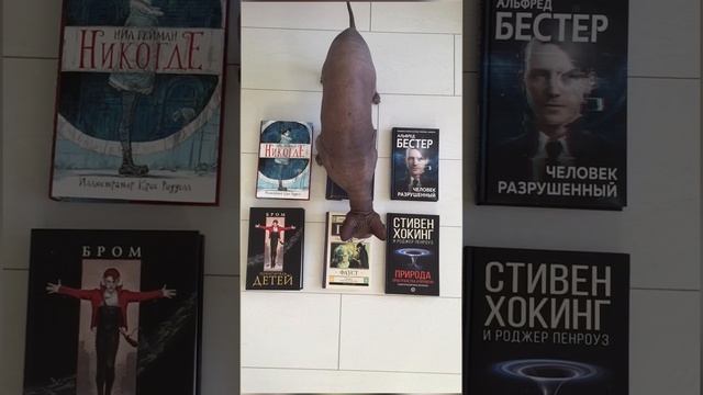 Лайфхак: как выбрать книгу с помощью всезнающего сфинкса?