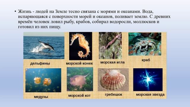 Моря и океаны природоведение 5 кл.mp4