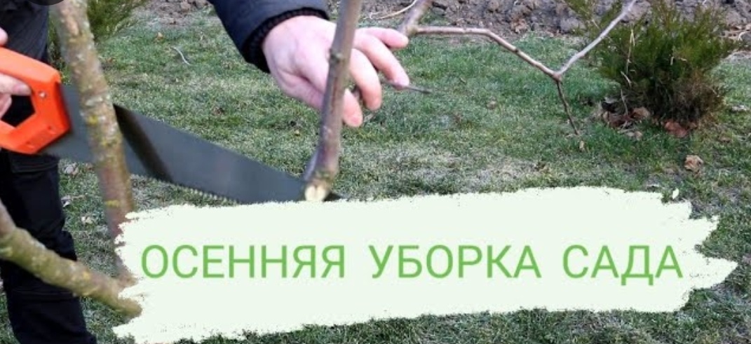 ЗАВЕРШАЮЩАЯ ОСЕННЯЯ УБОРКА САДА. СЕЗОН ЗАКРЫТ !