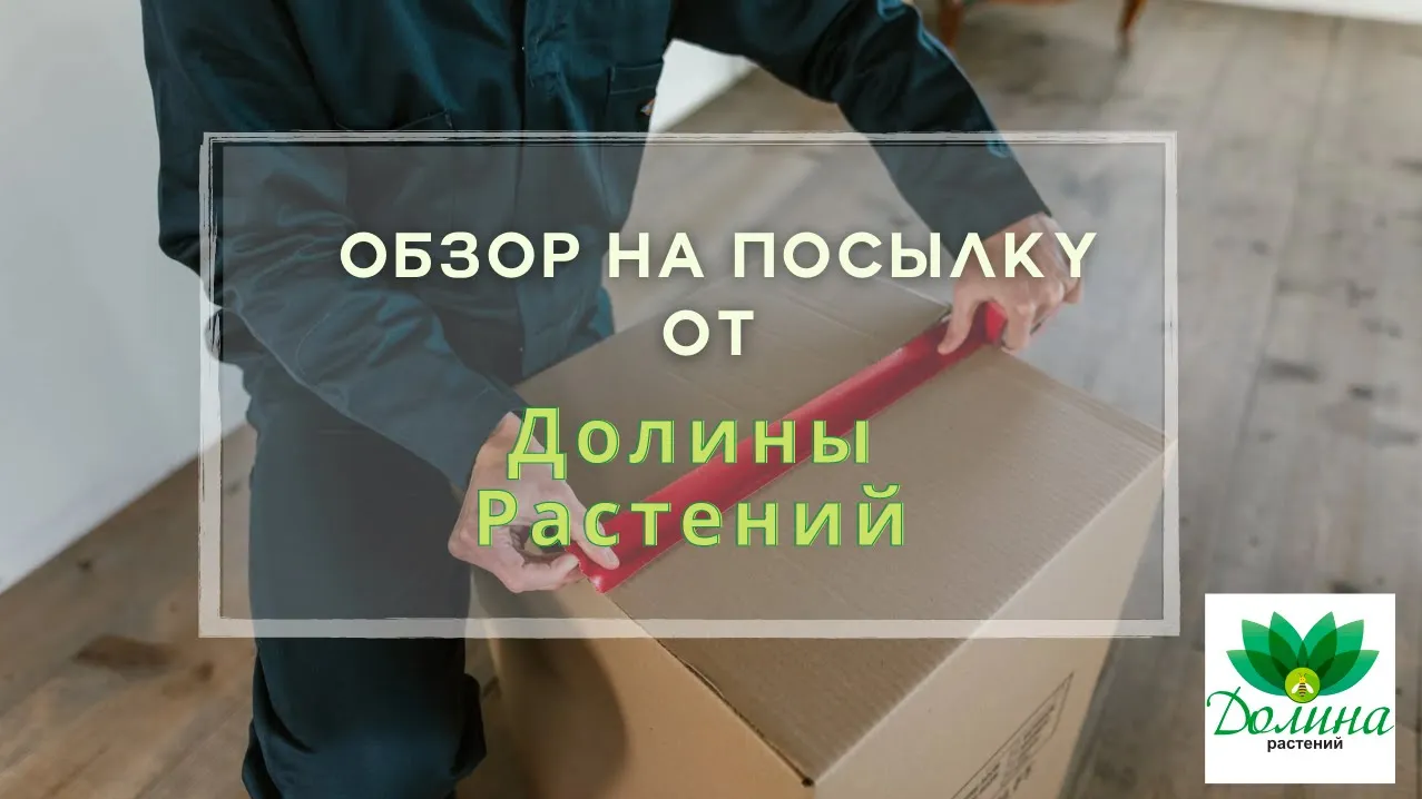 Обзор на посылку от Долины Растений??