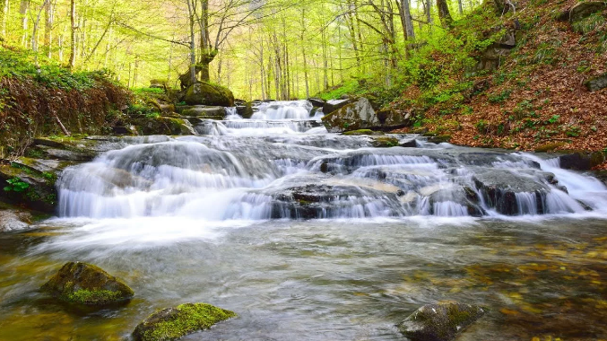 Звуки леса, щебетание птиц, звуки реки для сна и отдыха ✦ релакс ✦ relax