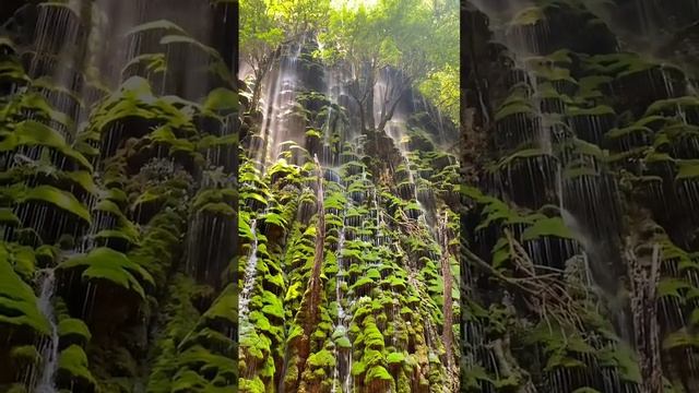 Забыть все заботы