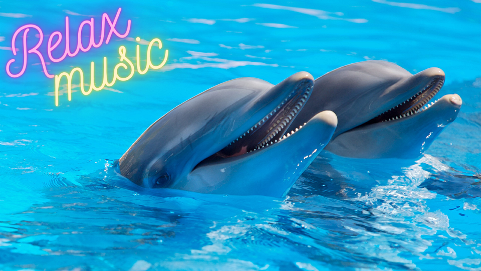 Красивая релакс музыка для сна, медитации, учебы, йоги # 7