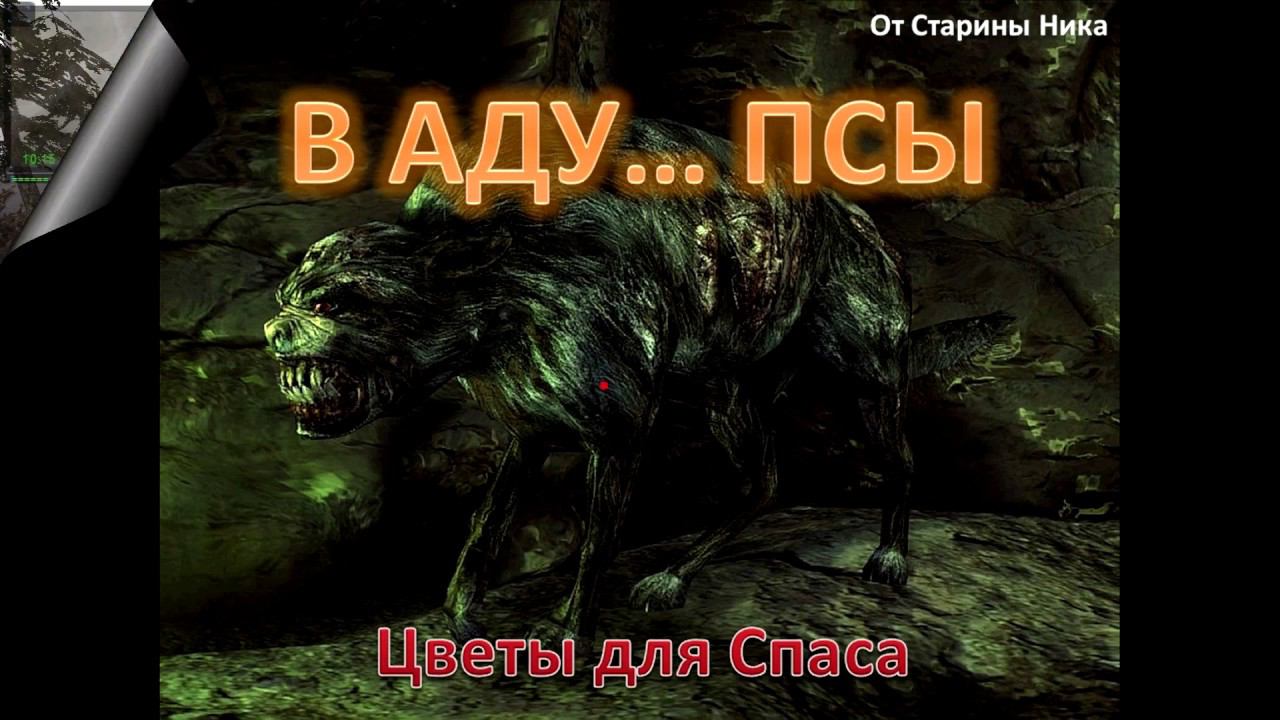 S.T.A.L.K.E.R. В Аду... Псы - Цветы для Спаса