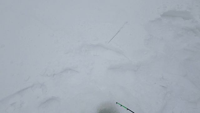 Лысьвенский пруд, рыбалка на жерлицы в марте!