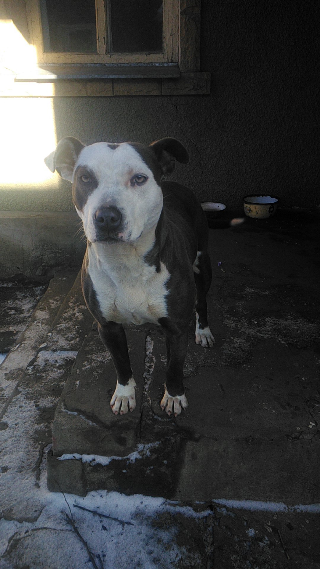 зима стафф гуляет